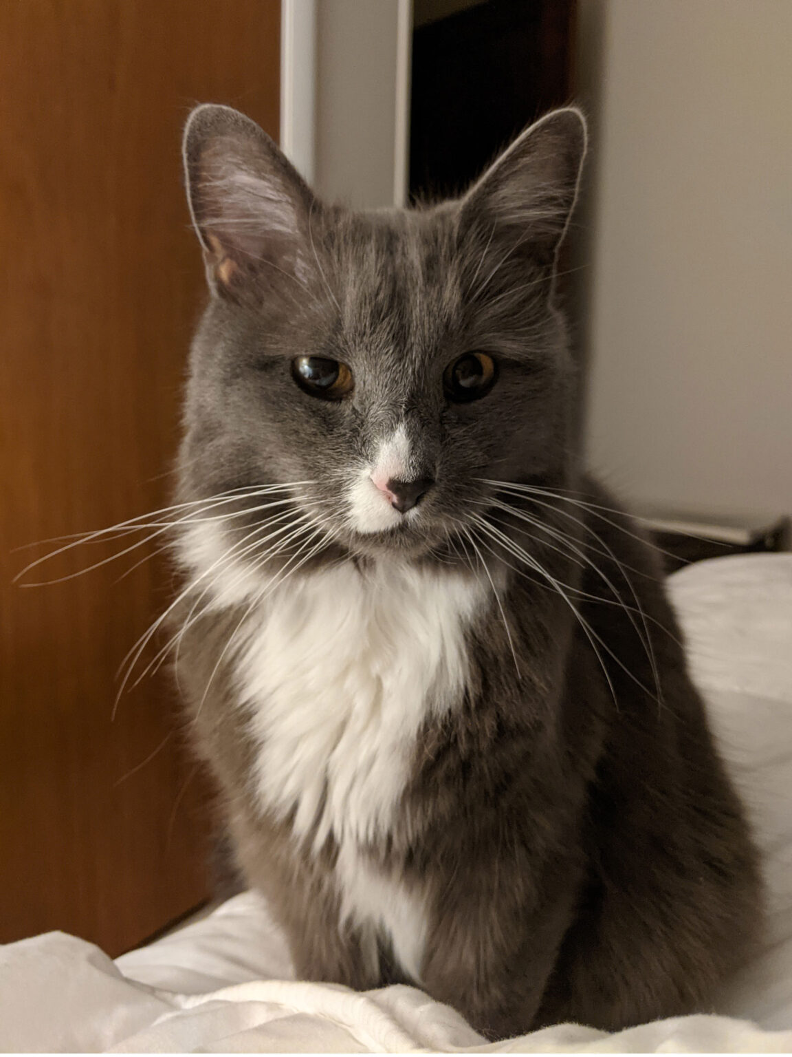 Goodnight, Max. - Agent Palmer